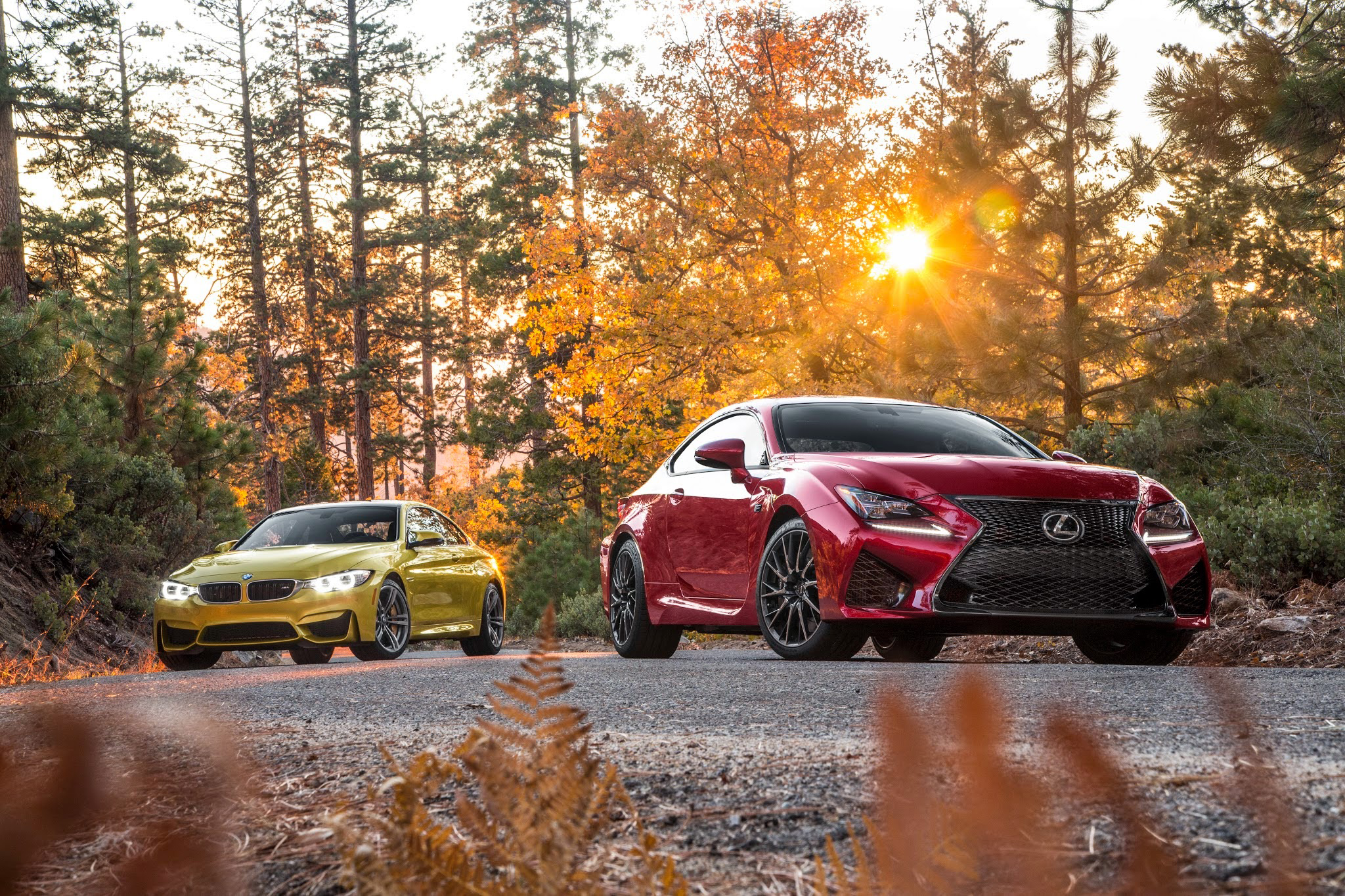 Comparación: BMW M4 2015 vs. Lexus RC F 2015